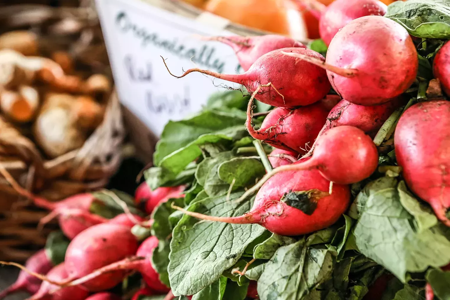 Closer Look: Marando Farms in Fort Lauderdale | South Florida | Broward ...